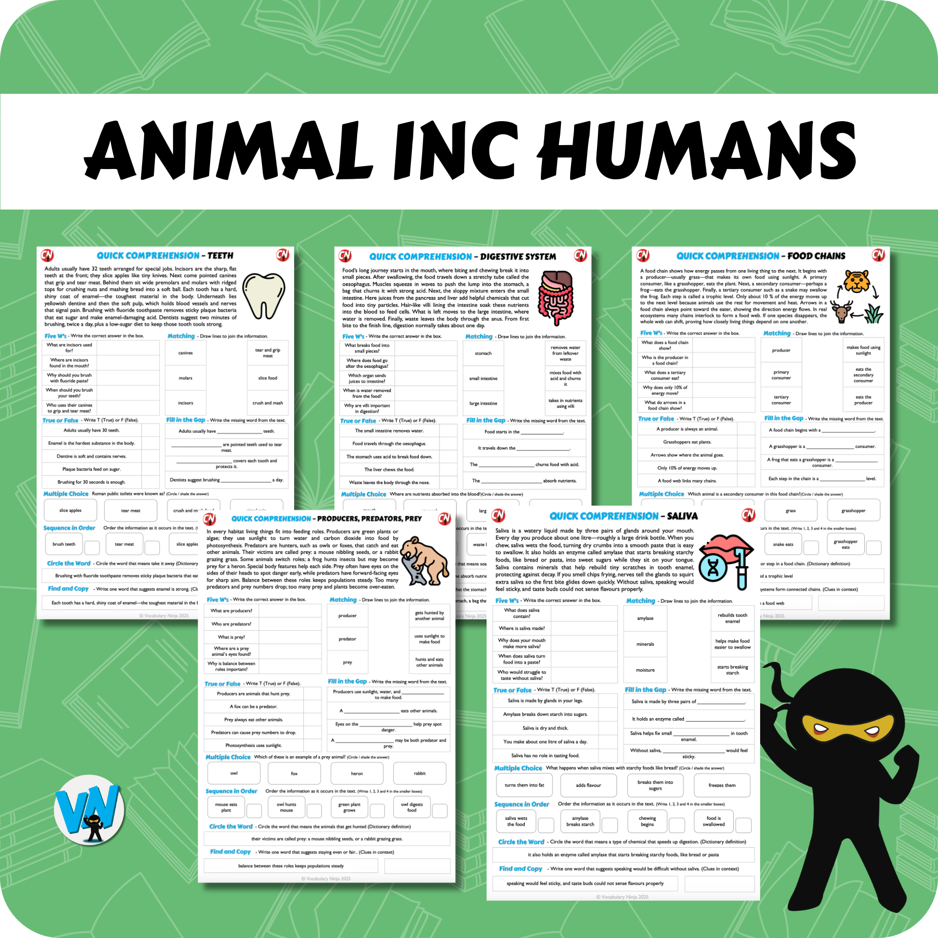 Quick Comprehension Topic Bundle – Y4 Animals and Humans – Vocabulary Ninja