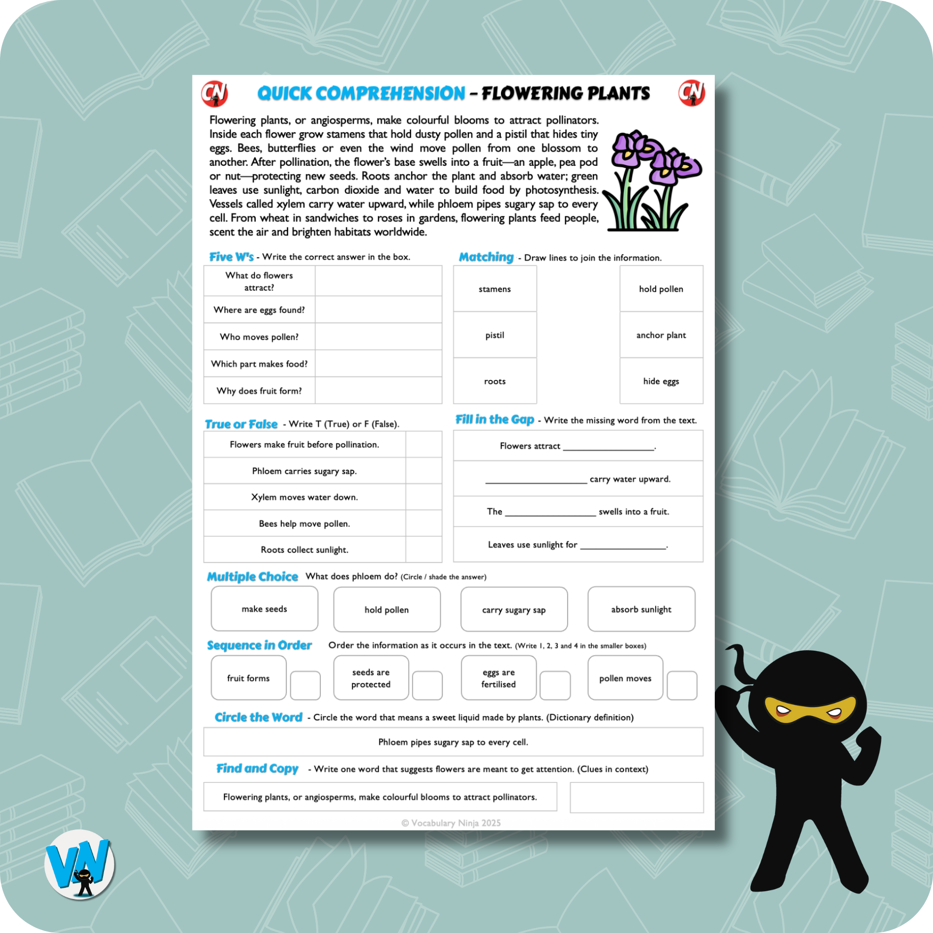 Quick Comprehension Topic Bundle – Y4 Living Things and Habitats ...