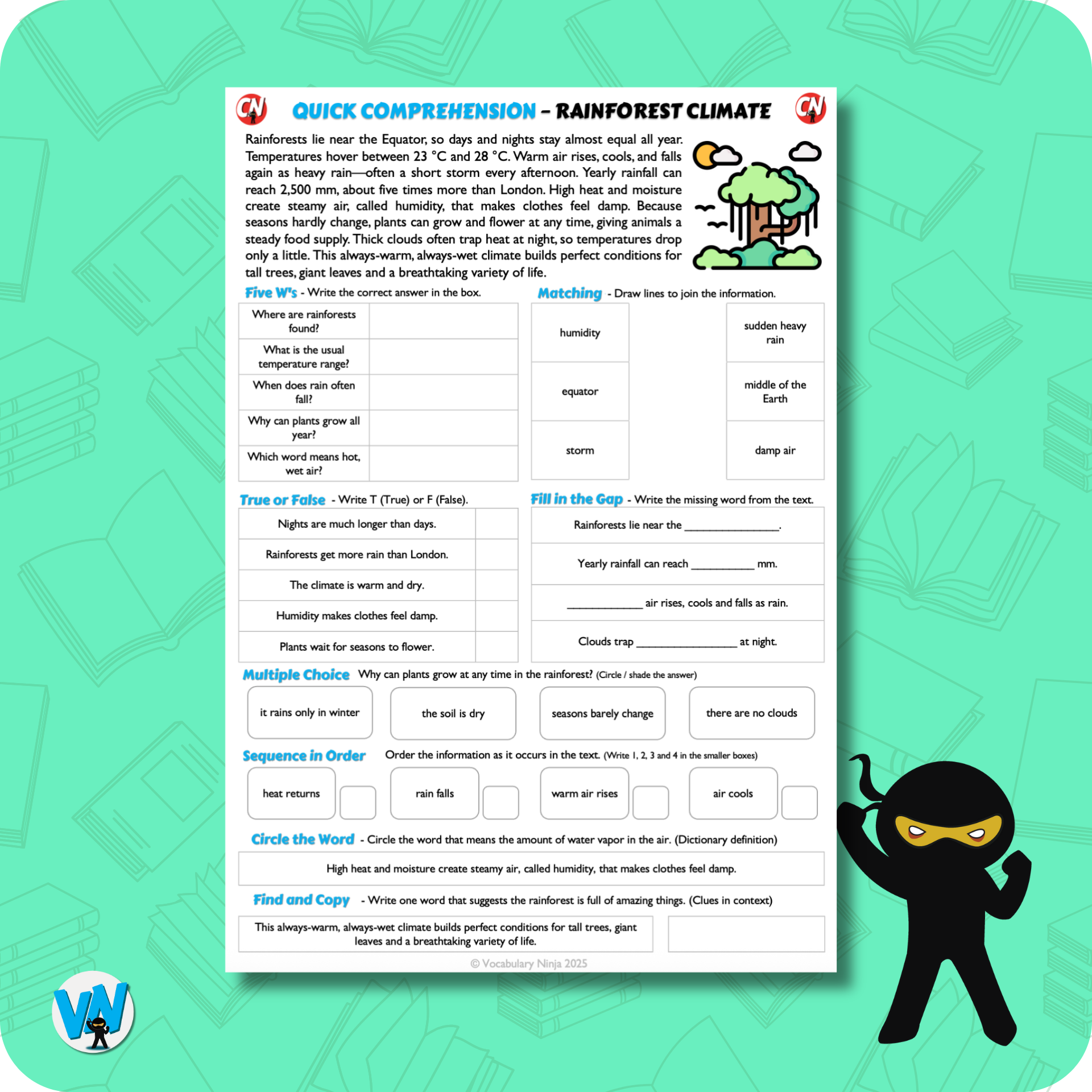 Quick Comprehension Topic Bundle – Y4 Rainforest Habitats – Vocabulary ...