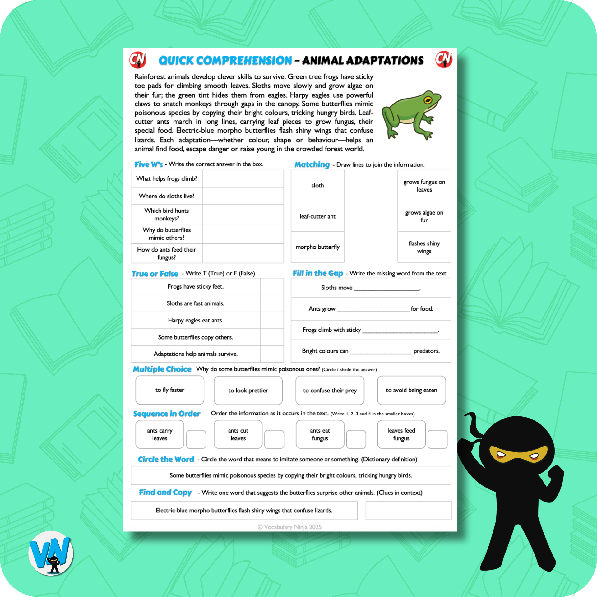 Quick Comprehension Topic Bundle – Y4 Rainforest Habitats – Vocabulary ...