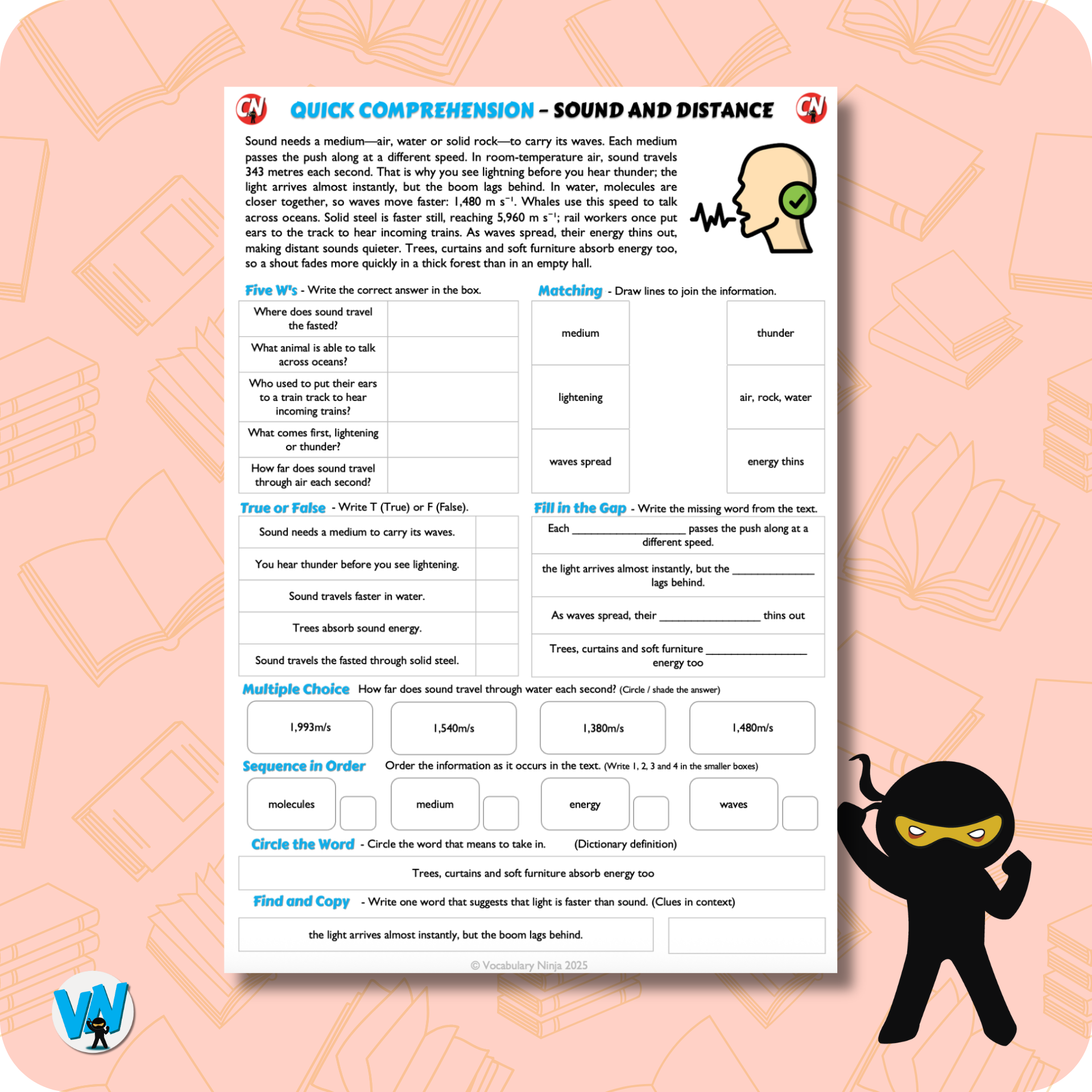 Quick Comprehension Topic Bundle – Y4 Sound – Vocabulary Ninja
