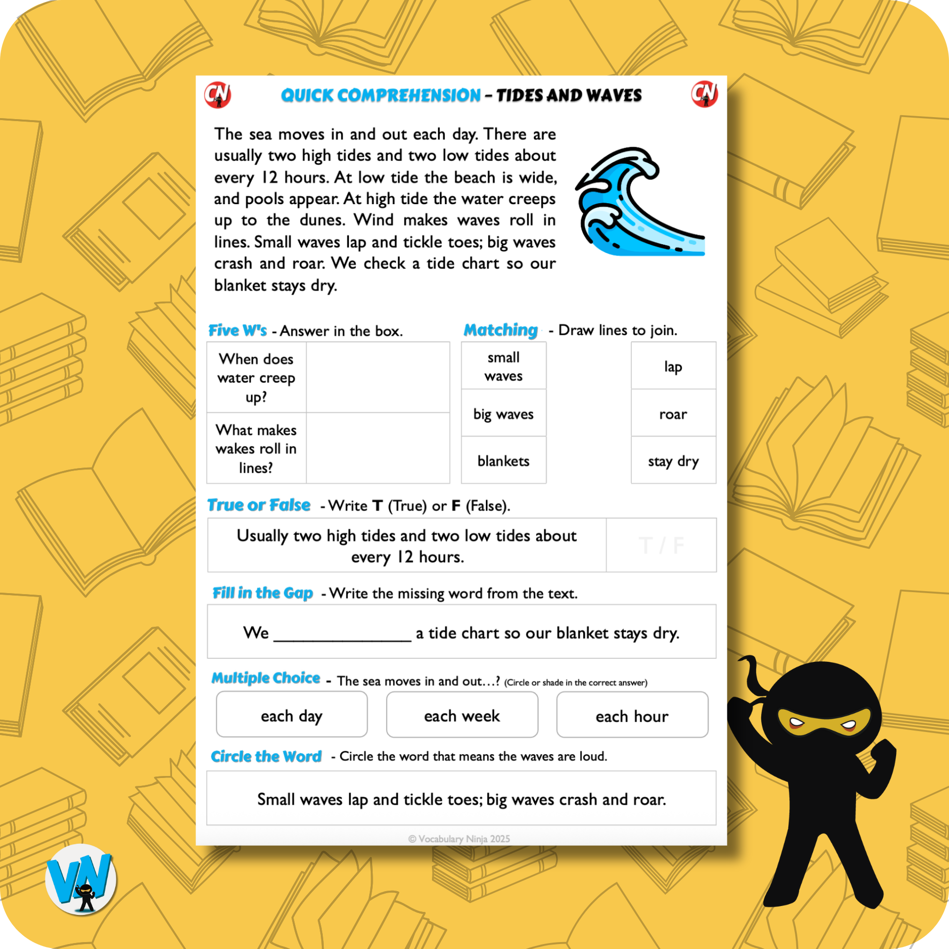 Quick Comprehension Topic Bundle – Y2 Day at the Beach – Vocabulary Ninja
