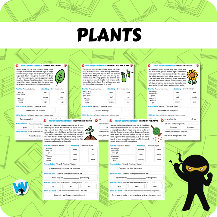 Quick Comprehension Topic Bundle – Y2 Plants – Vocabulary Ninja