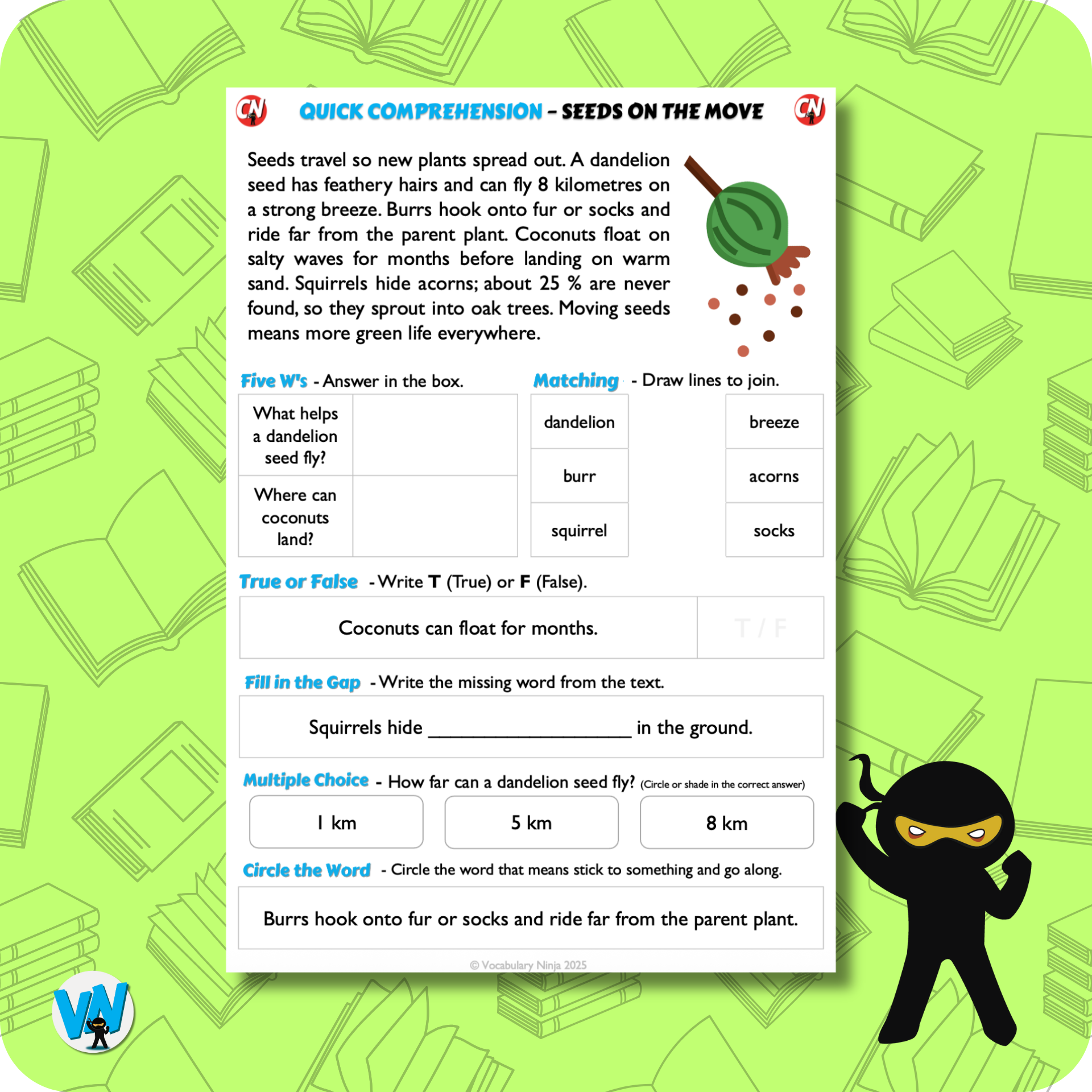 Quick Comprehension Topic Bundle – Y2 Plants – Vocabulary Ninja