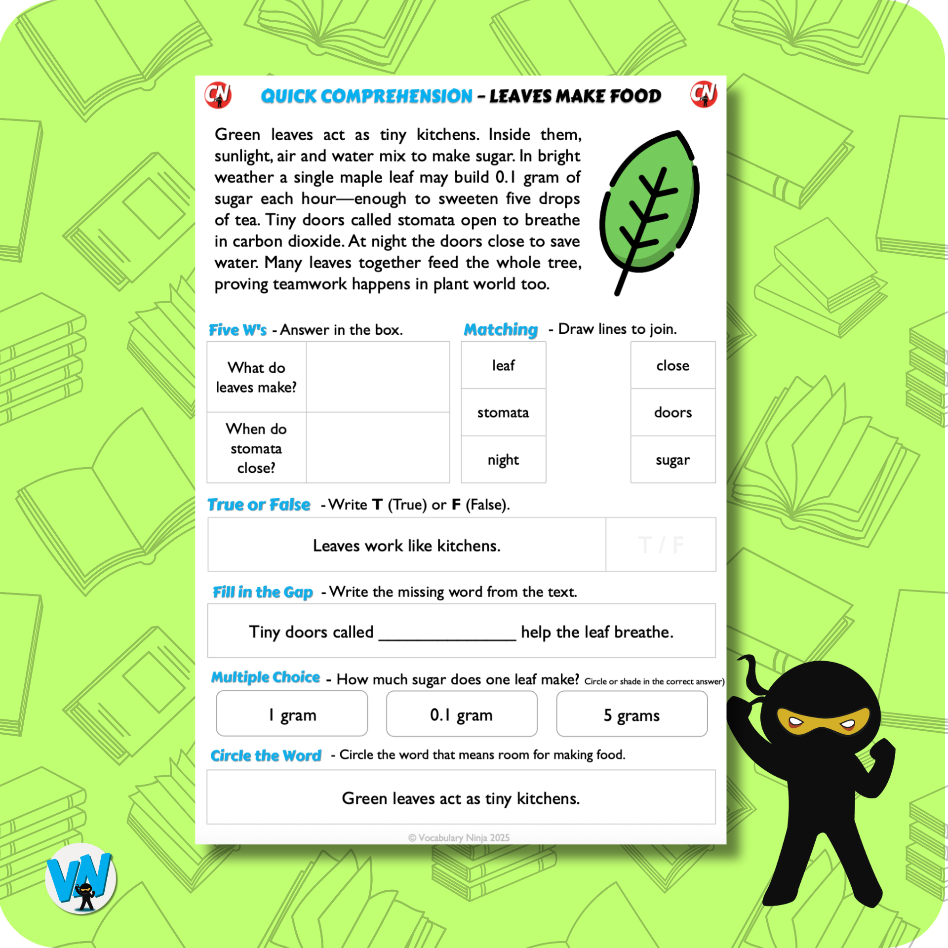 Quick Comprehension Topic Bundle – Y2 Plants – Vocabulary Ninja