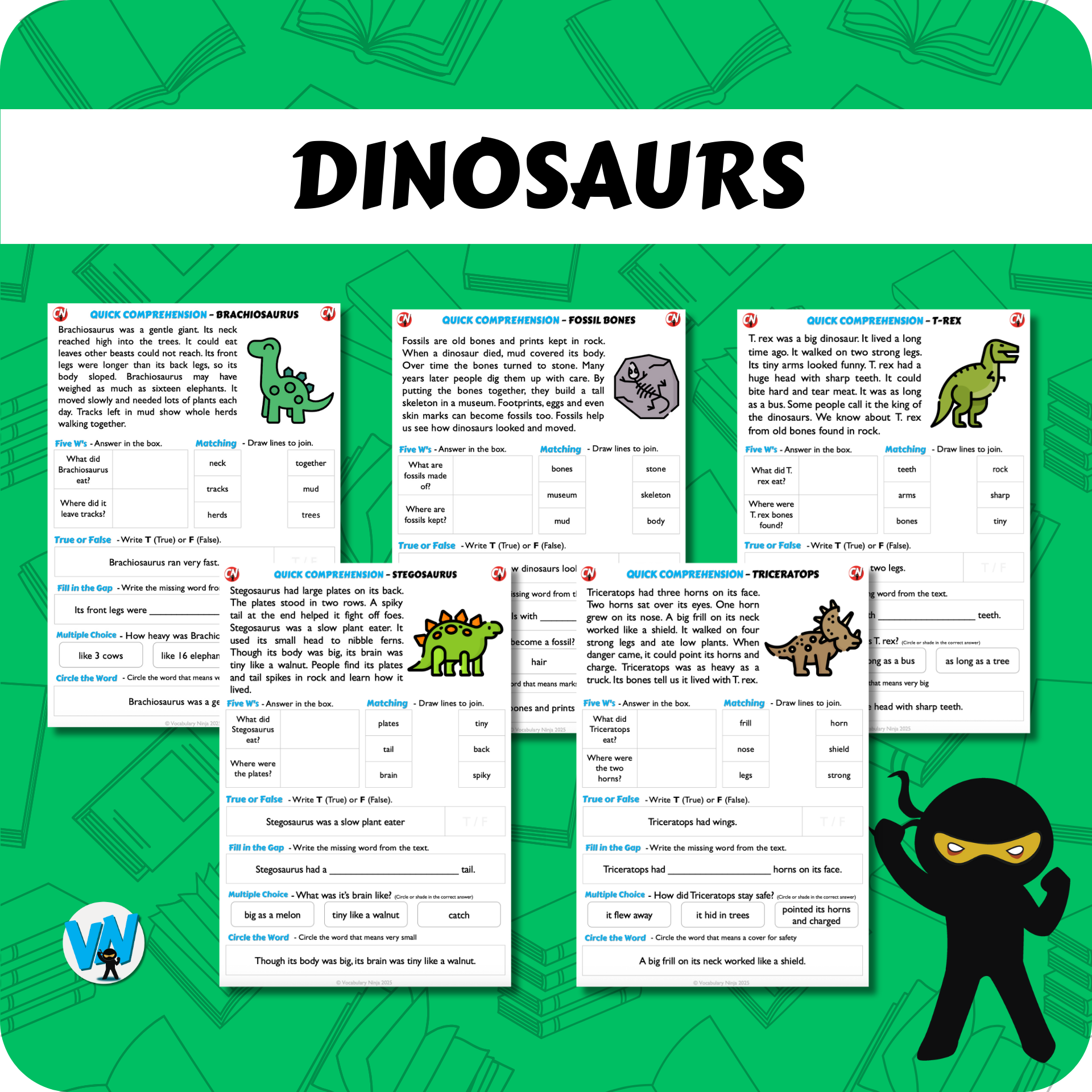 Quick Comprehension Topic Bundle – Y1 and Y2 Bundle (20 packs ...