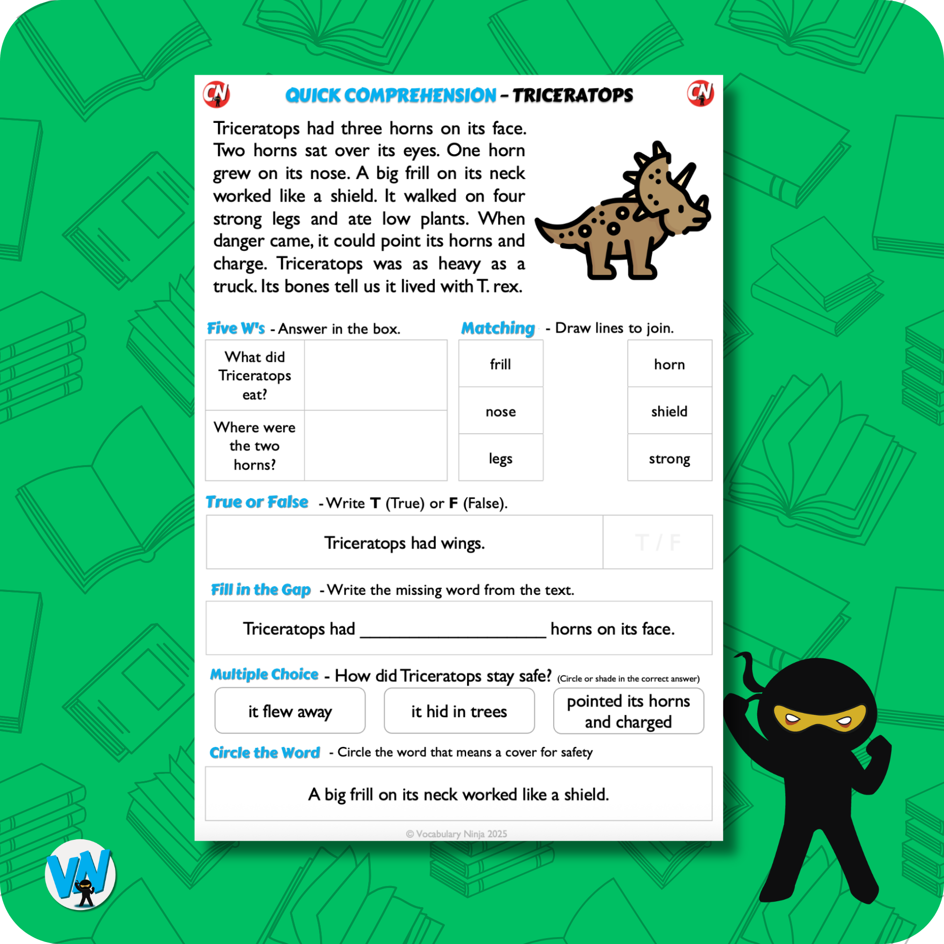 Quick Comprehension Topic Bundle – Y1 – Dinosaurs – Vocabulary Ninja