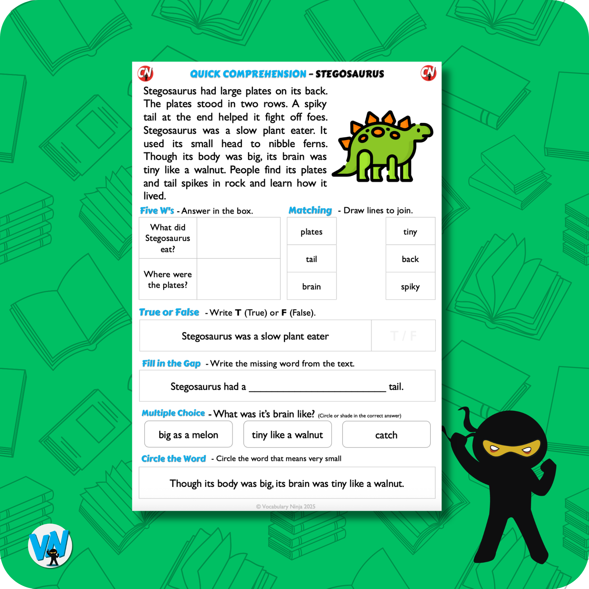 Quick Comprehension Topic Bundle – Y1 – Dinosaurs – Vocabulary Ninja