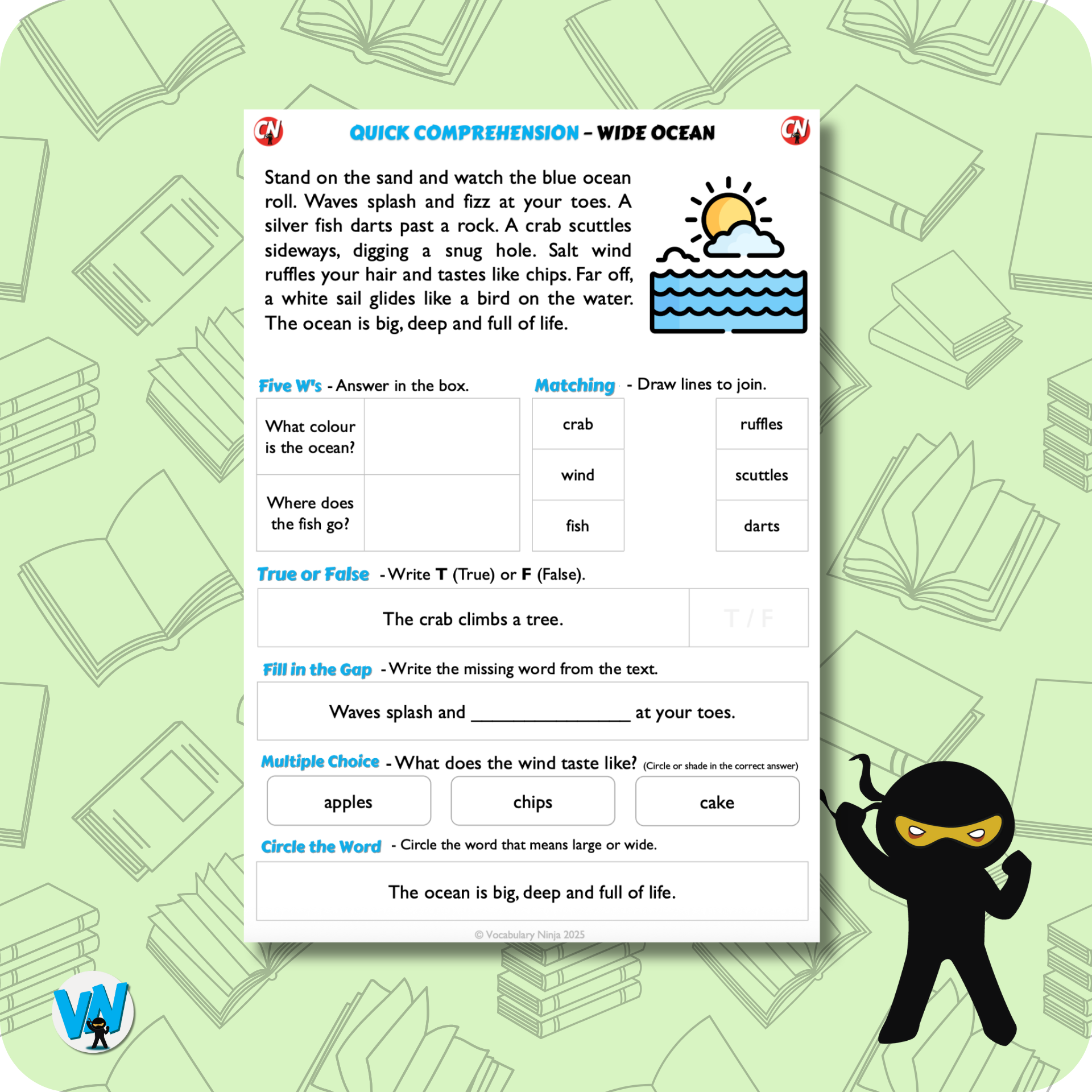 Quick Comprehension Topic Bundle – Y1 – Our Natural World – Vocabulary ...