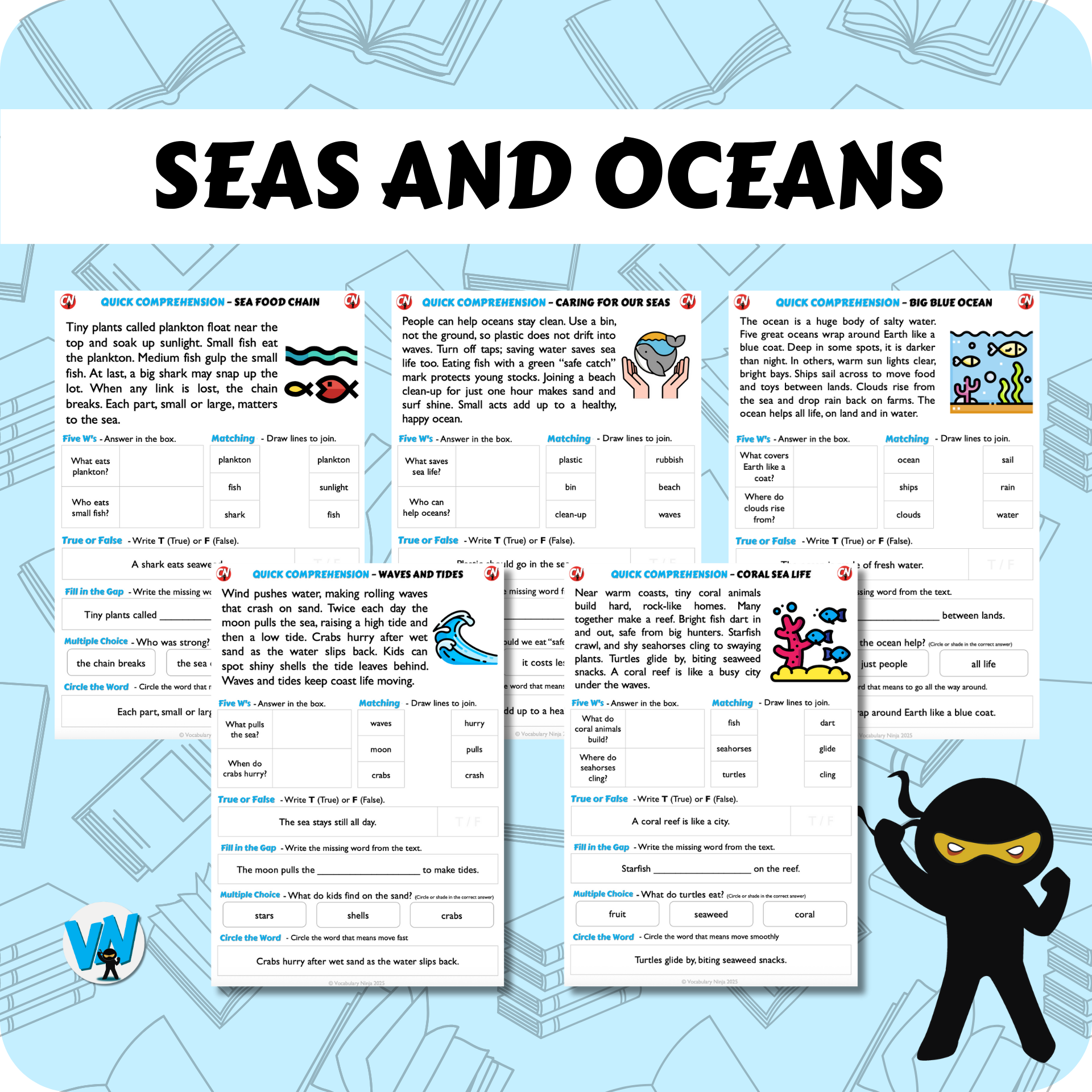 Quick Comprehension Topic Bundle – Y1 Bundle – Vocabulary Ninja