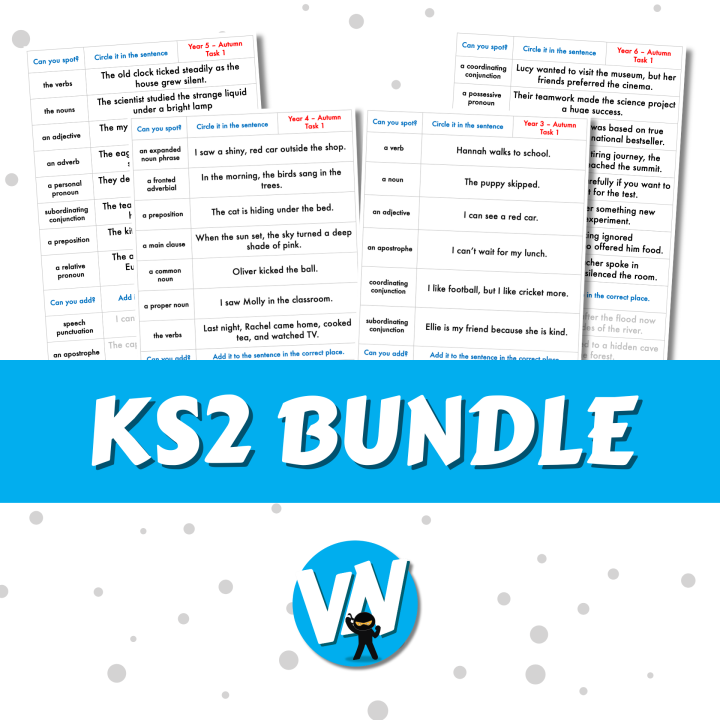 SPaG Spotter – KS2 Bundle – Y3 to Y6 – Vocabulary Ninja