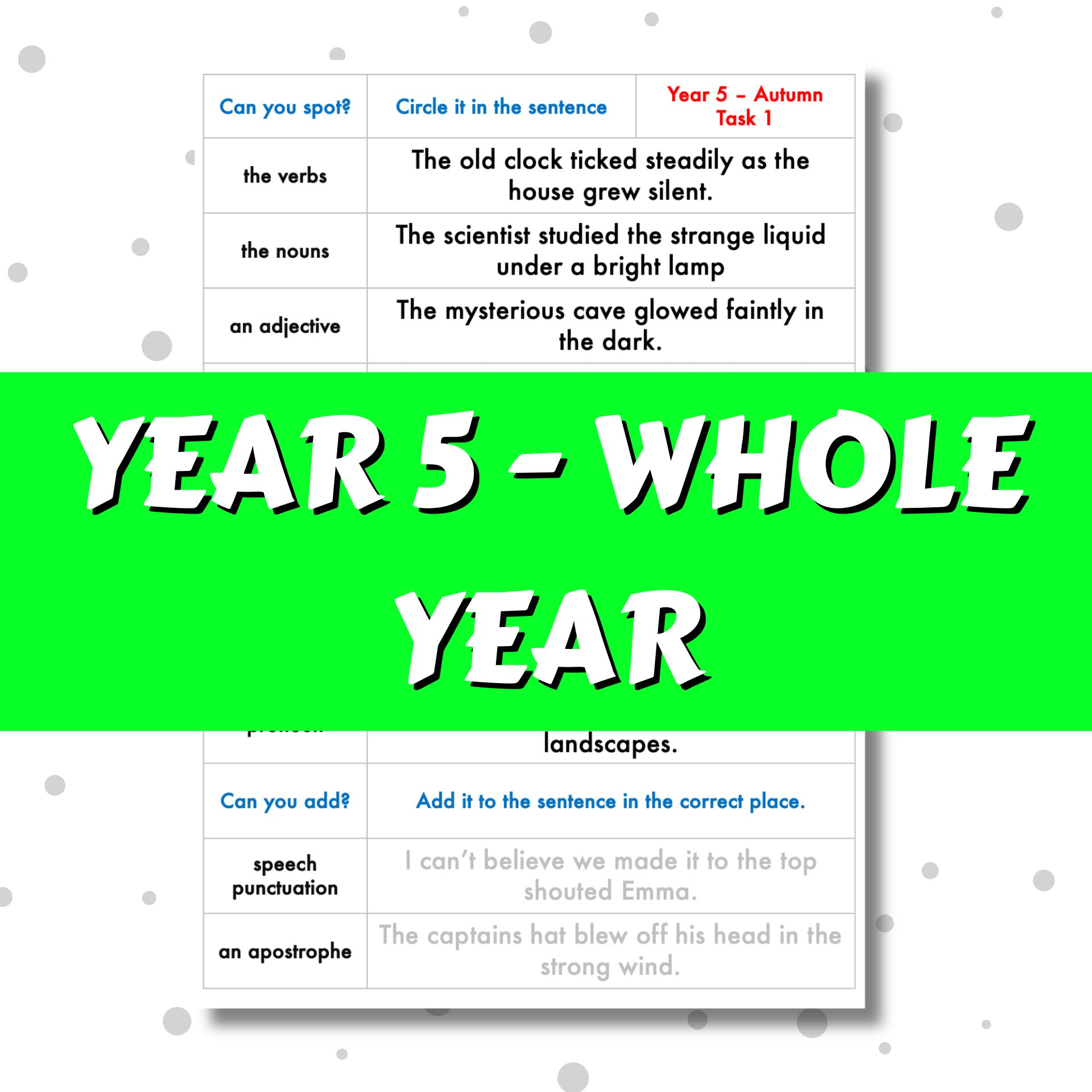 SPaG Spotter – Y5 Bundle – Vocabulary Ninja